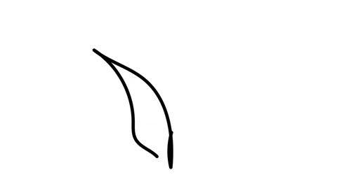 Drawing Bird Stock Videos – Royalty-Free HD & 4K Videos | Page 5