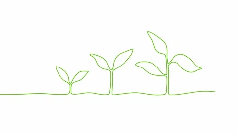 Continuous one line drawing plant growin... | Stock Video | Pond5