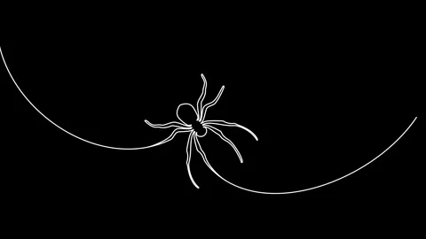 Continuous one line drawing of spider si... | Stock Video | Pond5
