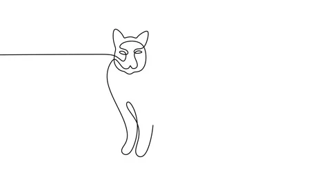 Clipsrt Of Cats Stock Videos – Royalty-Free HD & 4K Videos