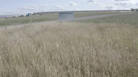 Ungraded Log Stock Video Footage | Royalty Free Ungraded Log Videos | Pond5