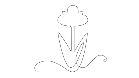 Continuous Thin Line Flower Drawing Anim... | Stock Video | Pond5