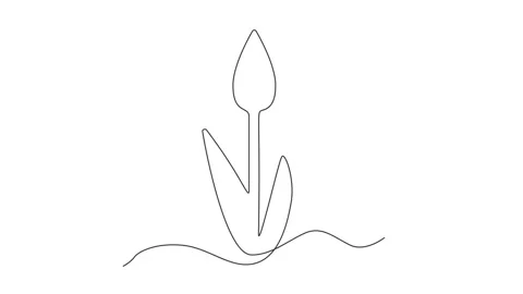 Continuous Thin Line Flower Drawing Anim... | Stock Video | Pond5