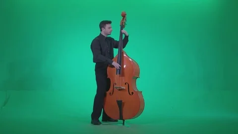 Contrabass Jazz Performer - 4K Green Scr... | Stock Video | Pond5