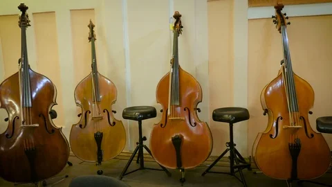 Contrabasses Stock Footage ~ Royalty Free Stock Videos | Pond5