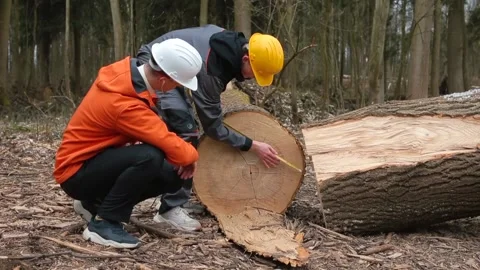 Control of work. Elimination of breakage... | Stock Video | Pond5