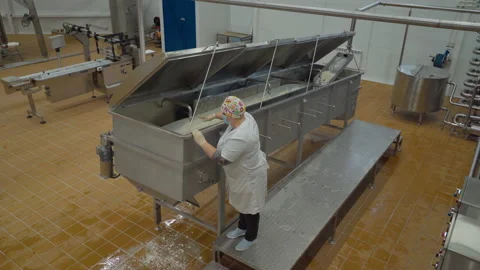 Controlling the cottage cheese manufactu... | Stock Video | Pond5