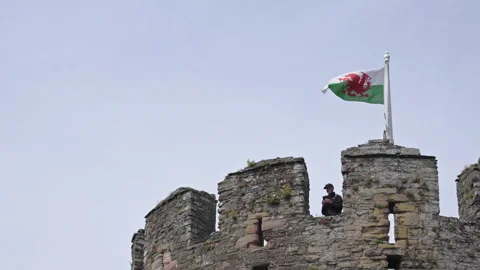 Sinder 18+ Stock Videos – Royalty-Free HD & 4K Videos