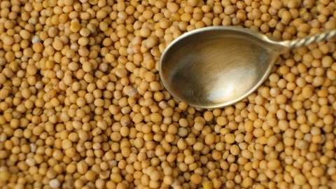 Mustard Yellow Background Stock Videos – Royalty-Free HD & 4K Videos ...