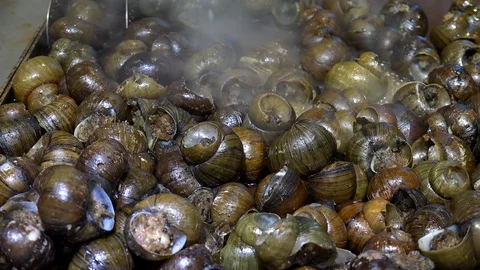 Cooking big snails with spice in a Food ... | Stock Video | Pond5
