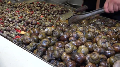 Cooking Stir-fried River Snails with spi... | Stock Video | Pond5