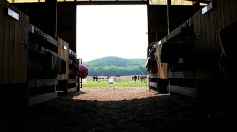 Go Stable Stock Video Footage | Royalty Free Go Stable Videos | Pond5