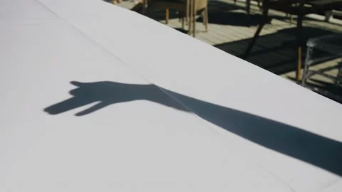 A cool shadow in the form of a dog, whic... | Stock Video | Pond5