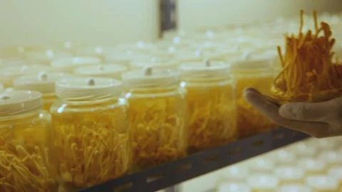 Farm Lab Stock Video Footage | Royalty Free Farm Lab Videos | Pond5