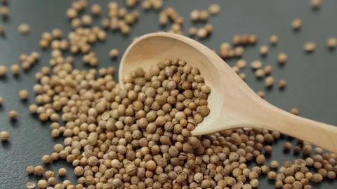 Indian Chinese Mix Stock Videos – Royalty-Free HD & 4K Videos