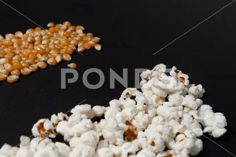 Photograph: Corn and popcorn grains in two rows on a black background ...
