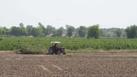 Corn crop irrigation using the center pi... | Stock Video | Pond5