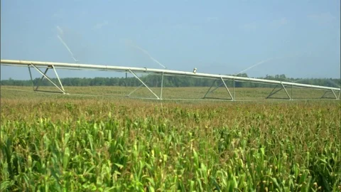 corn field irrigation system tilt down | Stock Video | Pond5