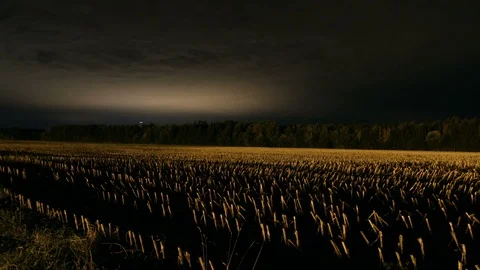 Corn Night Stock Video Footage | Royalty Free Corn Night Videos | Pond5