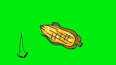 Corn - Hand Drawn - Green Screen | Stock Video | Pond5