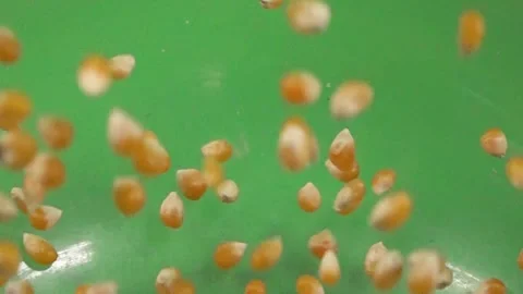 Corn kernel falling and bouncing on a ch... | Stock Video | Pond5