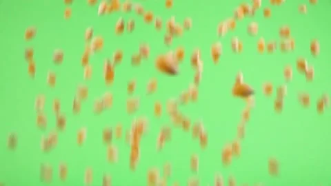 Corn kernel falling on chroma background... | Stock Video | Pond5