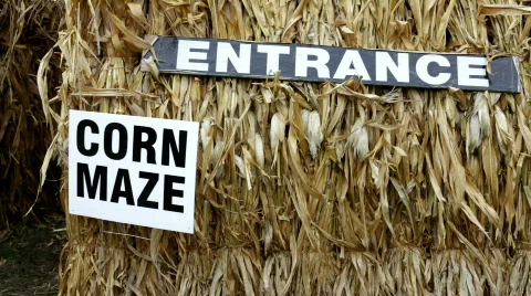 Corn Maze entrance Sign | Stock Video | Pond5