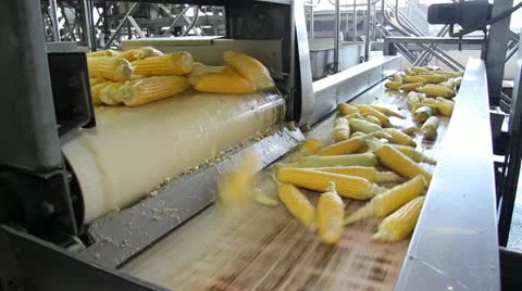 Factory Farm Stock Video Footage | Royalty Free Factory Farm Videos | Pond5