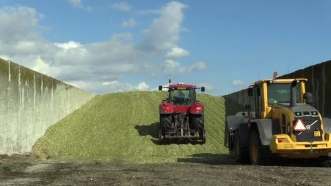 Corn silage pile in concrete pit, specia... | Stock Video | Pond5