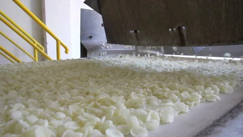 Corn starch flakes on a conveyor belt in... | Stock Video | Pond5