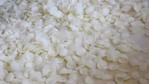 Corn starch flakes on a conveyor belt in... | Stock Video | Pond5