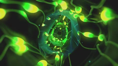 Deep Throat M Stock Videos – Royalty-Free HD & 4K Videos | Pond5