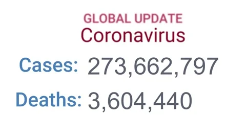 Total It Global Stock Videos – Royalty-Free HD & 4K Videos