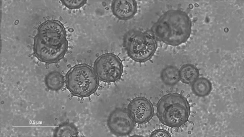 Via Science Stock Videos – Royalty-Free HD & 4K Videos | Pond5