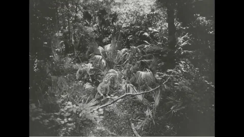 Corporal Ben Edward and soldiers dig in ... | Stock Video | Pond5