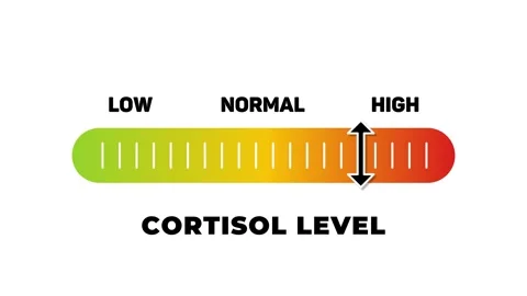 Hormone O Stock Videos – Royalty-Free HD & 4K Videos | Pond5