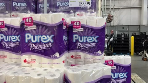 Purex toilet paper store