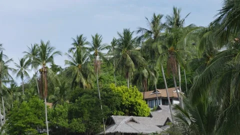 Cosy bungalow, small house cottage, palm... | Stock Video | Pond5