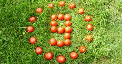 Countdown.The vegetables on the grass | Stock Video | Pond5