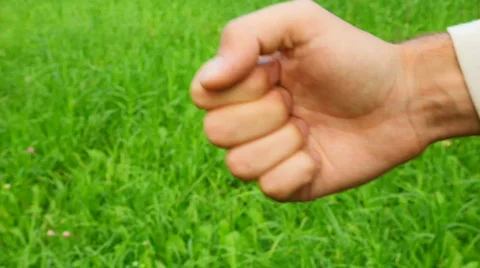 counting male hand on grass | Stock Video | Pond5