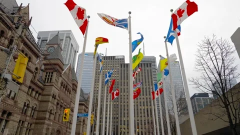 Country Flags Flying Beside Toronto City... | Stock Video | Pond5