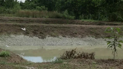 Fish Farming Stock Videos – Royalty-Free HD & 4K Videos | Pond5