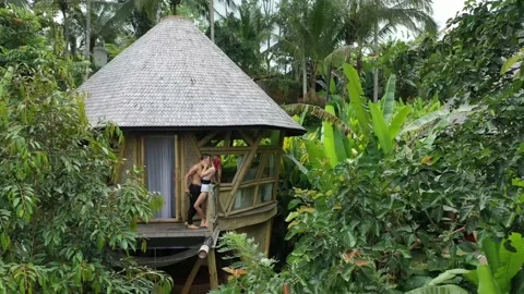 Kiss P Videos Stock Videos – Royalty-Free HD & 4K Videos