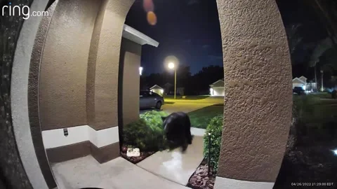 Bekar Couple Stock Videos – Royalty-Free HD & 4K Videos | Pond5