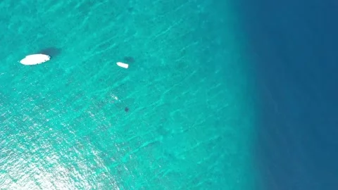 Ray Couple Stock Video Footage | Royalty Free Ray Couple Videos | Pond5