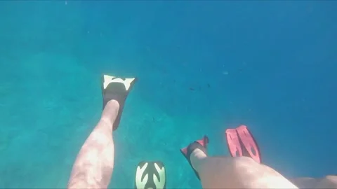 couple woman man legs in diving flippers | Stock Video | Pond5
