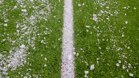 Sports Division Stock Videos – Royalty-Free HD & 4K Videos