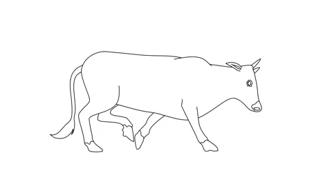 Cow Animal Is Walking 2D Animation Isola... | Stock Video | Pond5