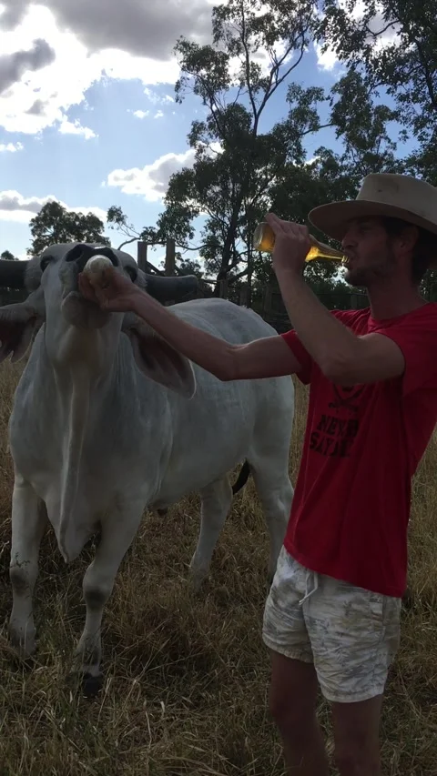 Chug Stock Video Footage | Royalty Free Chug Videos | Pond5