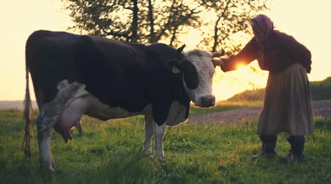 Eating Her P Stock Videos – Royalty-Free HD & 4K Videos | Pond5